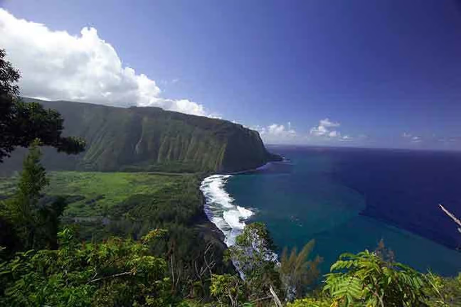 Oahu Volcano Tours 2026 – Visit Hawaii Volcanoes National Park from Oahu